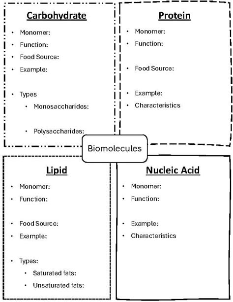 Biomolecules Activity By Science Sloth Tpt