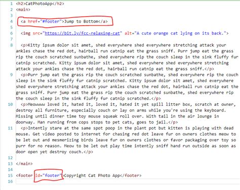 Introduction To Html5 Elements 01 Html Css The Freecodecamp Forum