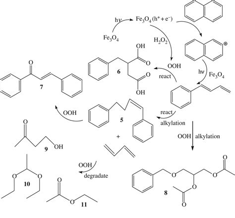 The Proposed Mechanism Of Degradation With H2O2 Download Scientific Diagram