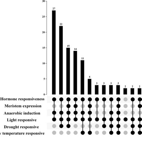 The Intersection Of Promoter Cis Acting Elements Numbers Represent The Download Scientific