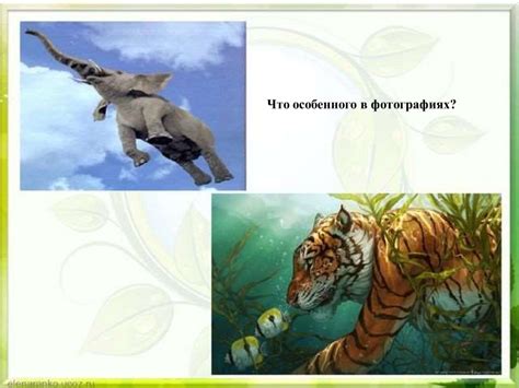 Приспособления организмов к жизни в природе Абиотические факторы среды презентация онлайн