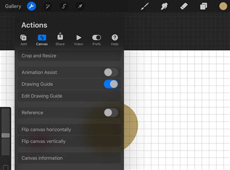 A Basic Beginners Guide To Procreate In 2024 Wonder Forest