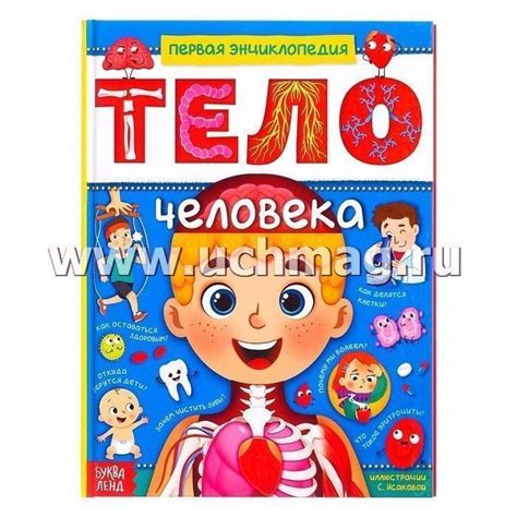 Энциклопедия в твёрдом переплёте Тело человека купить по цене 203 руб в интернет магазине