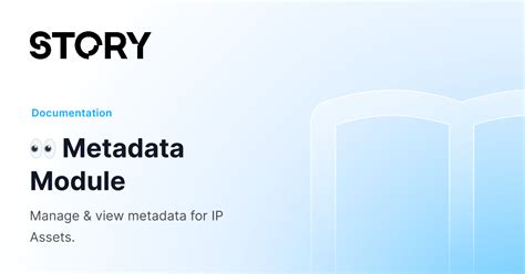 👀 Metadata Module Story Documentation