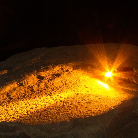 Photon Micro Light Ii 2 X Cr2016