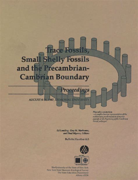 Pdf Trace Fossils Small Shelly Fossils And The Precambrian Cambrian Boundary New York State