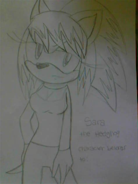 Sara The Hedgehog By Lukinlykananime On Deviantart