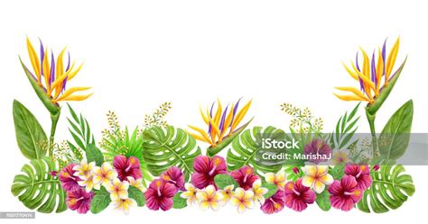 Strelitzia 히비스커스 장미 꽃 프랜지파니와 야자수 잎으로 수채화 그림 테두리 요소를 디자인합니다 알로하 하와이 인사말 꽃 식물에 대한 스톡 벡터 아트 및 기타