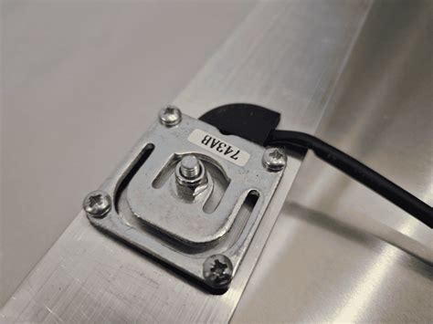 Get Started With Scale Beezum