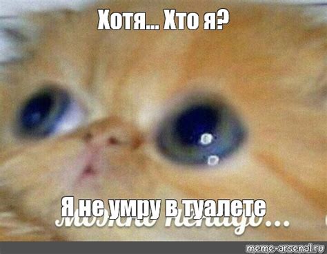 Meme Хотя Хто я Я не умру в туалете All Templates Meme