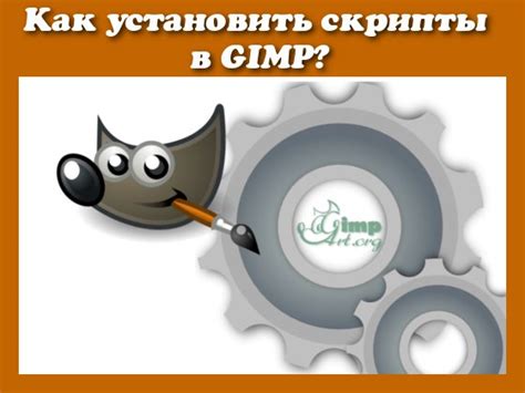 Как установить скрипты в Gimp