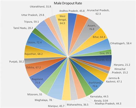 Male Dropout Rate Cmi Public School