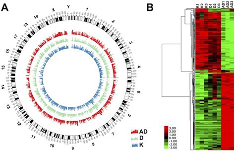 The Gene Expression Profiles And The Differentially Expressed Genes Of