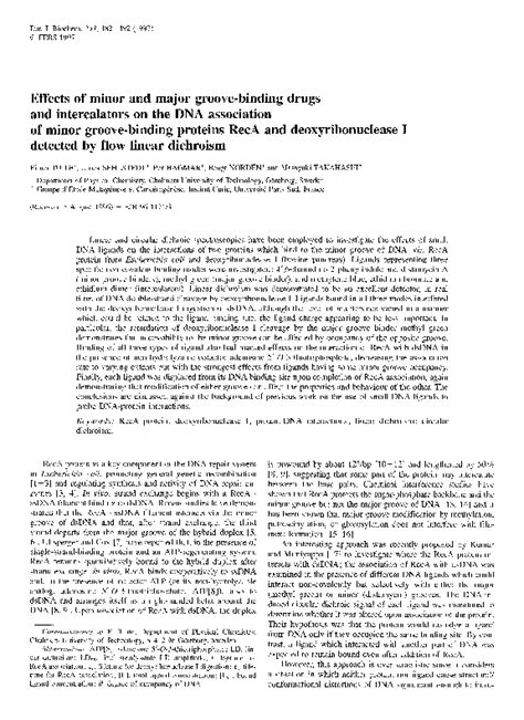 pdf effects of minor and major groove binding drugs and intercalators