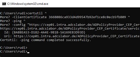 Performing A Functional Test For The Certificate Enrollment Policy Web Service Cep Uwe