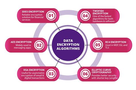 How Data Encryption Contributes To Secure Digital Ecosystems Appsealing
