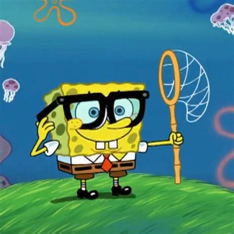 Silly Sponge Spongebob Funny Spongebob Pics Spongebob