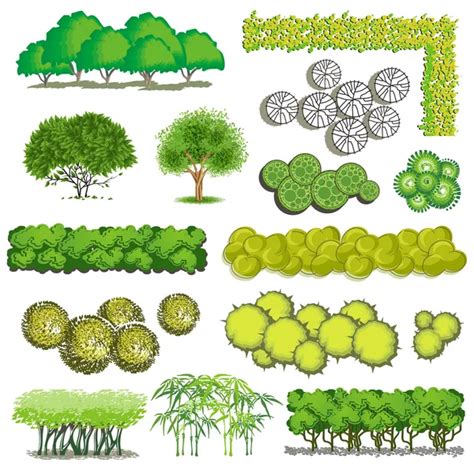 Trees And Bush Item Top View For Landscape Design Vector Icon Stock
