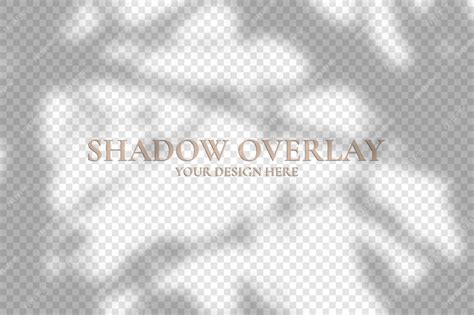 목업을 위한 식물 또는 나무 가지와 잎의 흐릿한 실제 그림자 오버레이 효과 프리미엄 Psd 파일