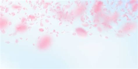 아래로 떨어지는 사쿠라 꽃잎 로맨틱 핑크 꽃 그라데이션입니다 푸른 하늘 넓은 Backgroun에 플 라 잉 꽃잎 벡터 아트 일러스트 벡터 아트 벚꽃 꽃그림