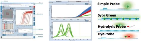 High Throughput Real Time Pcr System Centro Servizi Brit