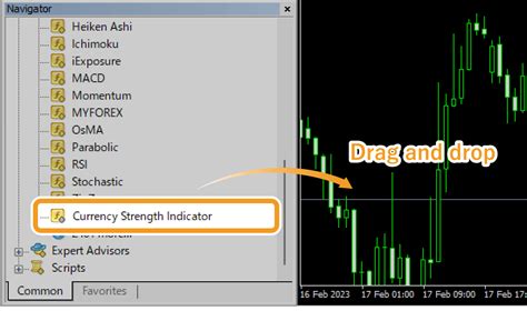 Install Custom Indicator Metatrader4 5 User Guide Myforex™