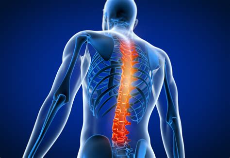 Back Surgery Types Recovery And Considerations Azalea Orthopedics