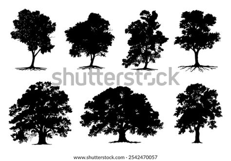 Thousand Outline Tree With Roots Royalty Free Images Stock Photos Pictures Shutterstock