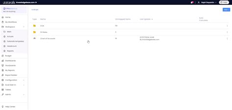 Lookups Unmapped Items Datarails