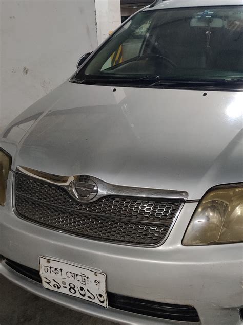 Data Annotation V3 Object Detection Dataset By Tanjem Ahamed Eftey