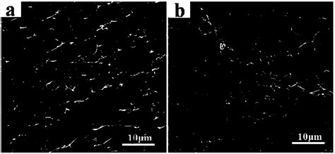 Preparation Method Of Biodegradable Super Tough Flame Retardant