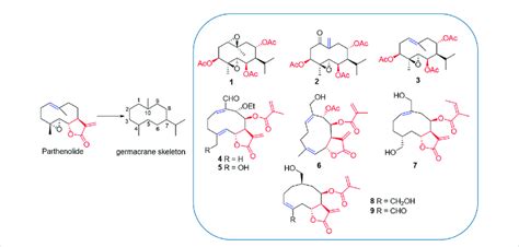 Ptl And Its Analogues 1 9 Structural Similarity 1 They Are All Download Scientific Diagram