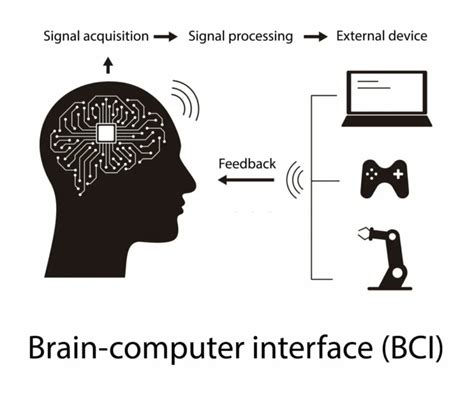 What Is A Brain Computer Interface Openbci