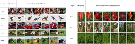 Figure 6 From Improving Cbir Accuracy Using Convolutional Neural