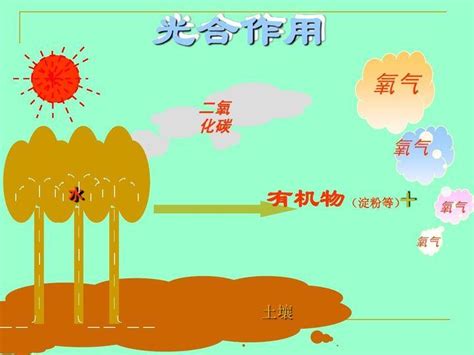 开造了！天津建成二氧化碳合成淀粉吨级中试装置，废气论吨变淀粉 知乎