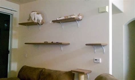 How We Made Our Diy Wall Mounted Cat Tree • Offbeat Home And Life