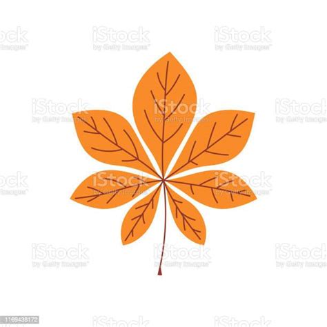 흰색 배경에 고립 된 플랫 스타일의 가을 오렌지 밤 나무 잎 0명에 대한 스톡 벡터 아트 및 기타 이미지 0명 10월