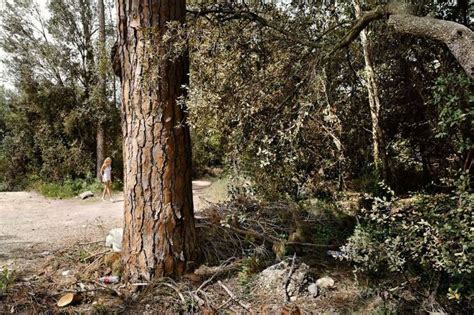 Spanish Sex Workers In Txema Salvans The Waiting Game Pics