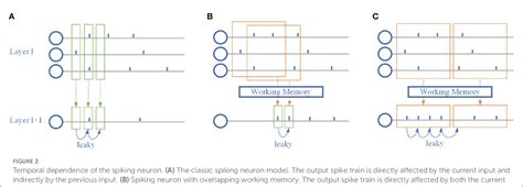Figure 2 From Spiking Neural Network With Working Memory Can Integrate