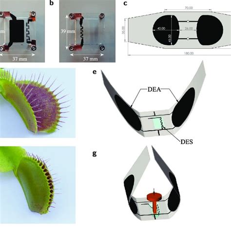 A Schematic Of A Set Reset Latch And Its Truth Table B Schematic Of Download Scientific