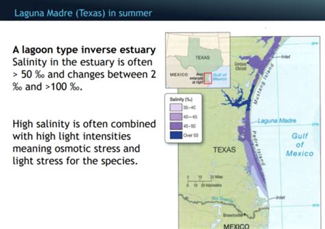 Lecture 21 Adaptations To Extreme Environments Flashcards Quizlet