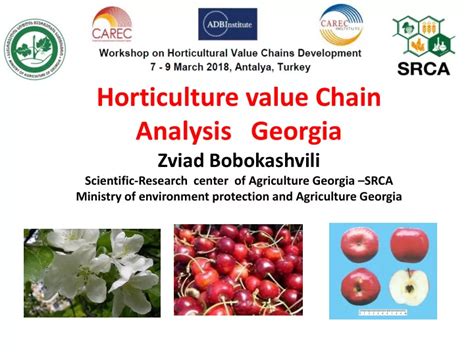 [ppt] Horticulture Value Chain Analysis Georgia Zviad Bobokashvili Powerpoint Presentation