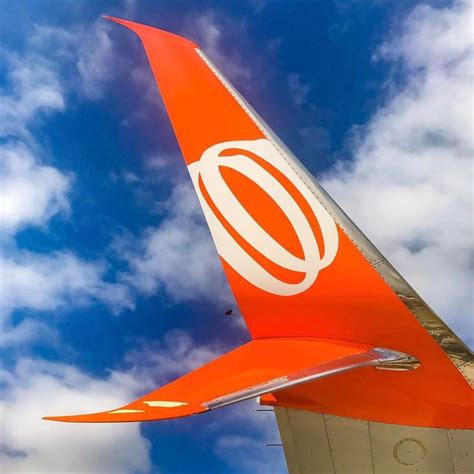 Split Scimitar Winglet Instagram Posts Instagram Outdoor Decor