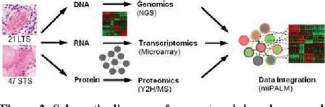 Figure 1 From Brain Tumor Pathway Identification By Integrating