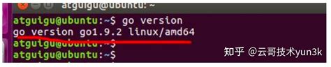 Golang