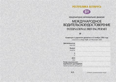 Установлена форма бланка международного водительского удостоверения