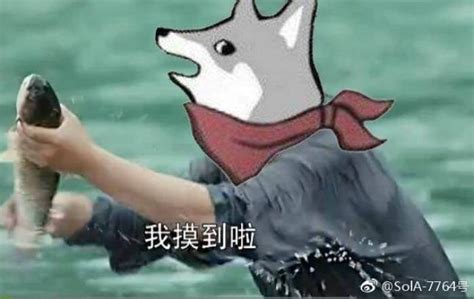 如何在不得不上的网课上不被发现的摸鱼 哔哩哔哩