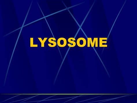 Ppt Lysosome Powerpoint Presentation Free Download Id 6198379