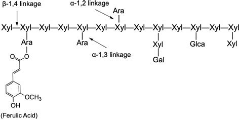 Utilization Of The Nutritional Potential Of Wheat Bran Using Different