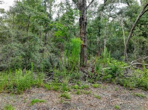 Florida Land For Sale Landflip